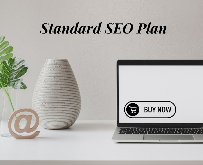 Standard SEO Plan | OptimizeHub - Web Design and Website Maintenance